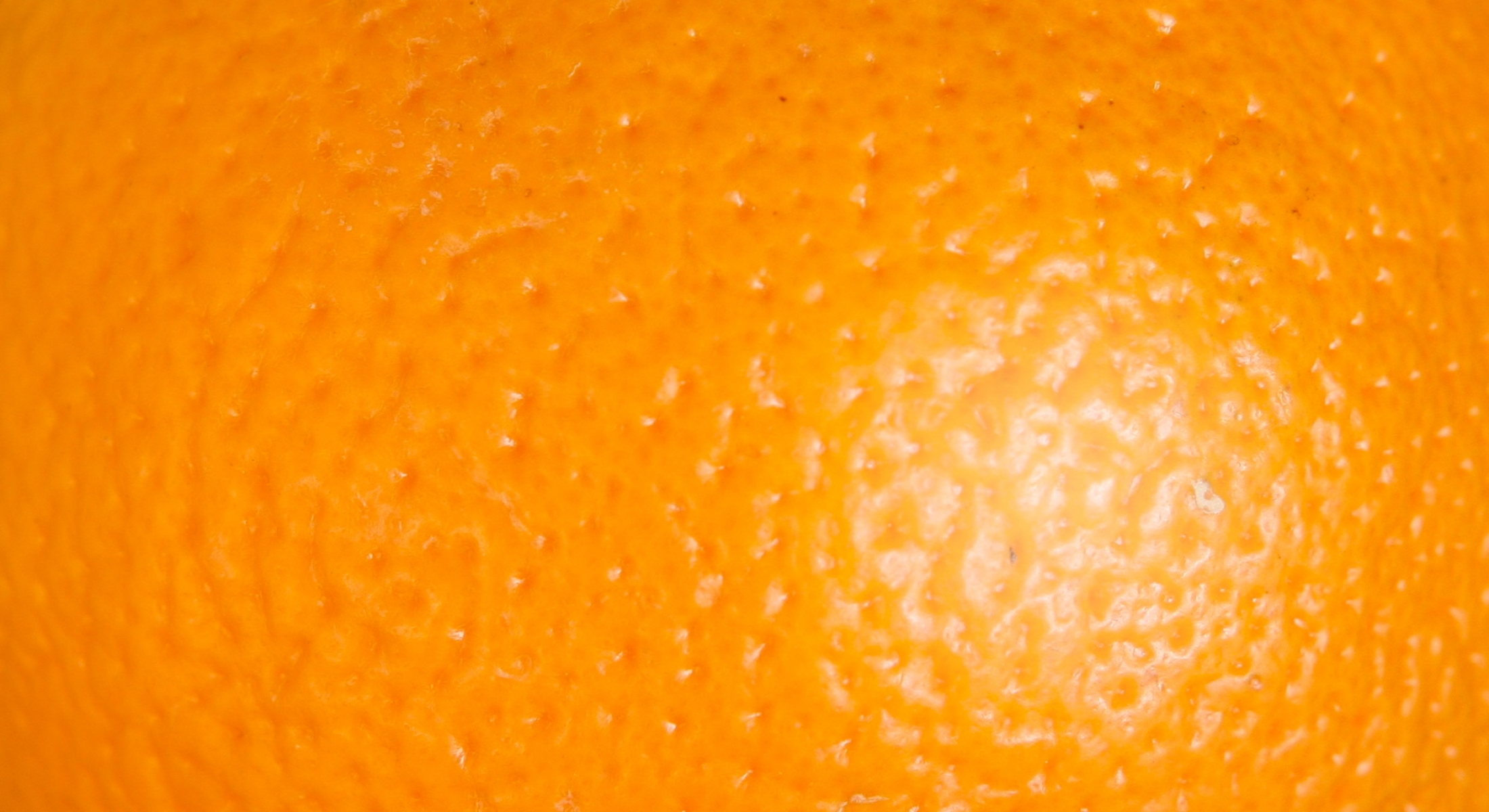 Faites un zeste ! - L'Orange fluo